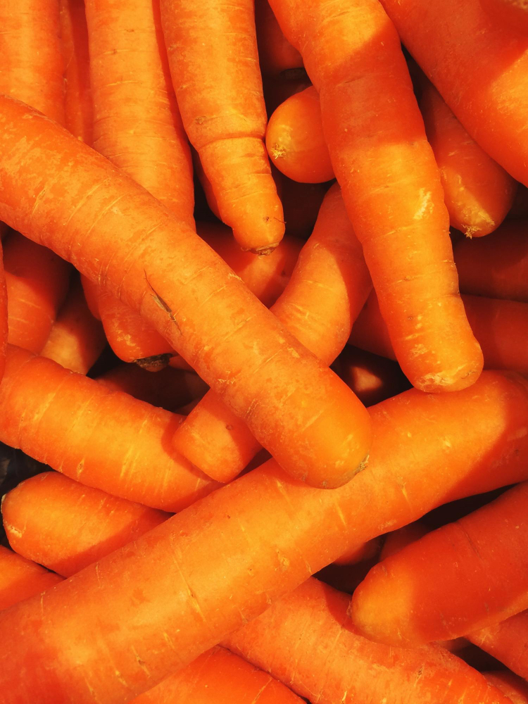 Siew marchwi – kiedy i jak siać marchew, aby uzyskać najlepsze plony ...